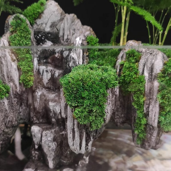 Fish Tank Flowing Moss Micro Landscape Ecological Hydroponic Green ...
