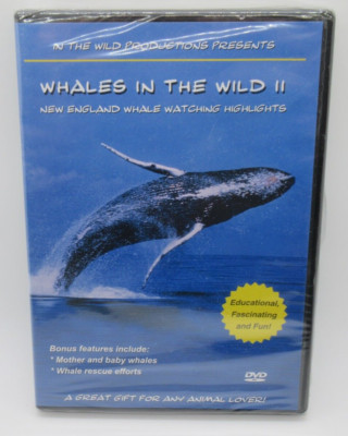 WHALES IN THE WILD II - NEW ENGLAND WHALE WATCH HIGHLIGHTS DVD, 14 ...
