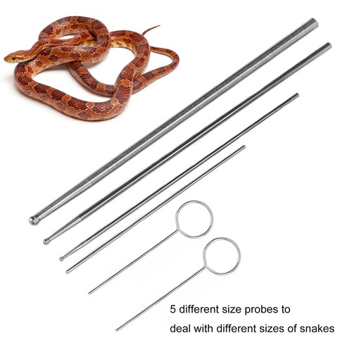 6PCS Snake Probe Kit Round Head Anti Allergy Reptiles Snake Sexing ...