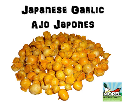 Japanese Garlic (Ajo Japones) Count per bag= 30-60-130 //100% Natural ...