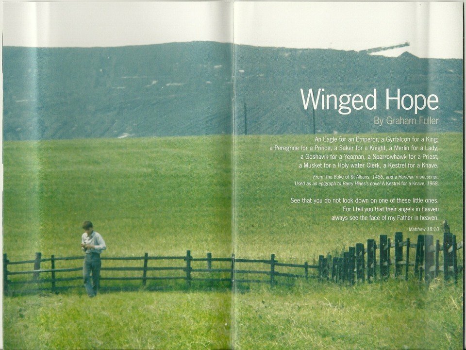 CRITERION COLLECTION - KES - Ken Loach - booklet only no film - D | eBay