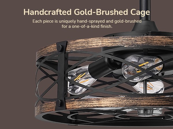 EDISHINE 20 Inch Fandelier Caged Ceiling Fan w/ Light, Dimmable, Silent ...