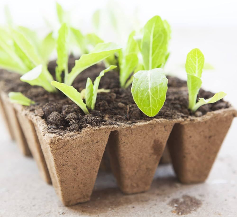 Biodegradable Seeder Trays Outdoor Fibre Plant Pots Fibre Seed Nursery ...