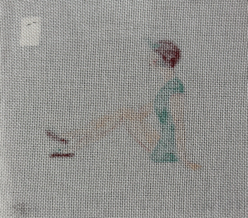 Beach Girl Renaissance Designs Handpainted Needlepoint Canvas 13 Mesh ...