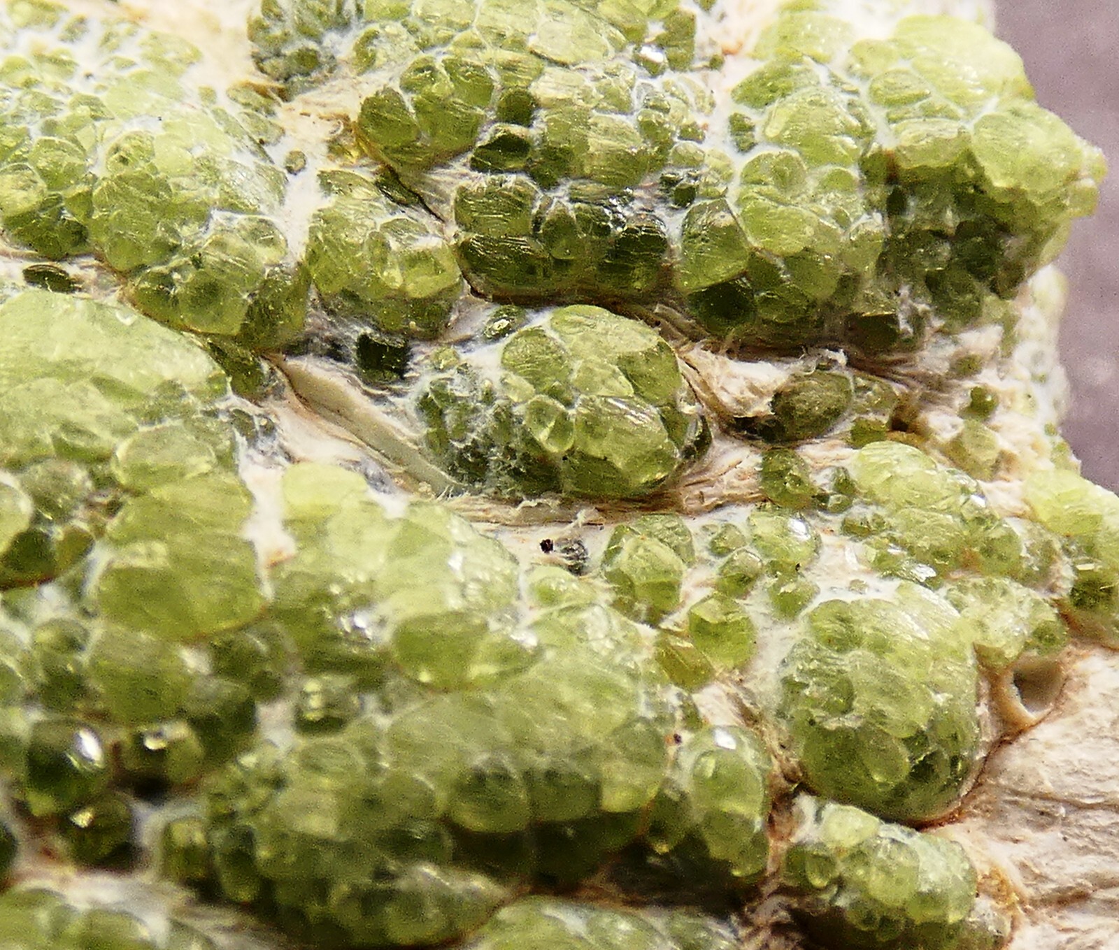 GRANATO DEMANTOIDE. Da Franscia, Valmalenco, Italy. g. 32 | eBay