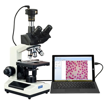 Motion Control - Stage With Micrometer - 4