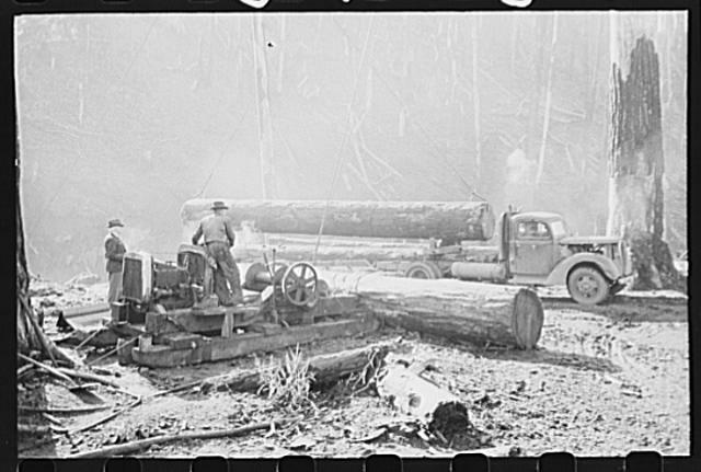 Gyppo logging operations,Tillamook County,Oregon,OR,Farm Security Admin ...