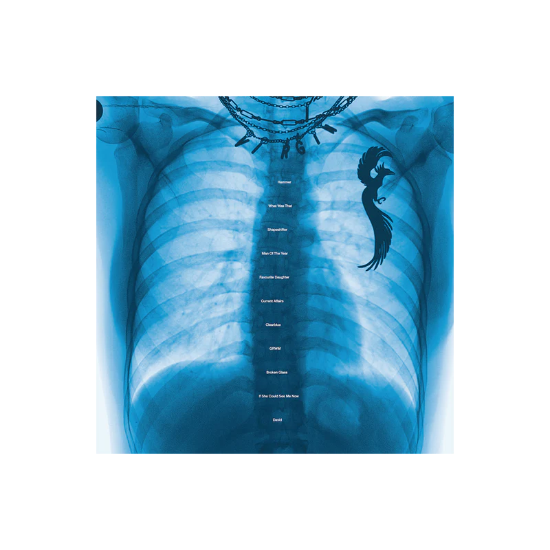 Lorde SIGNED Vinyl LP Virgin Gatefold X-Ray Picture Disc Autographed ...