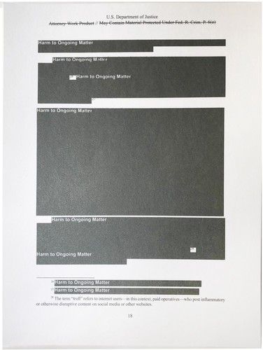 Jenny Holzer 2019 Redacted Silver Ink Series Screenprint Wove Paper ...