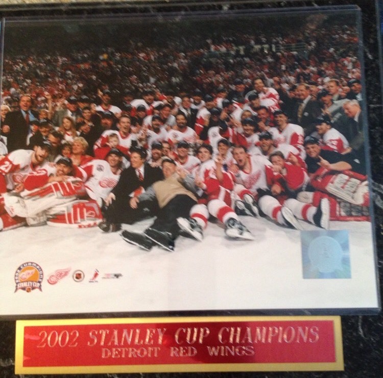 2002 Stanley Cup Champions 2002 Playoffs: Red Wings Hurricanes Series