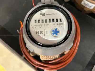 Gas & Water Meters - Model 25 Water Meter
