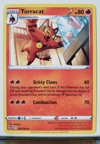 Torracat 031/195 - NM / M - Silver Tempest Pokemon Card - GIDORA Art | eBay