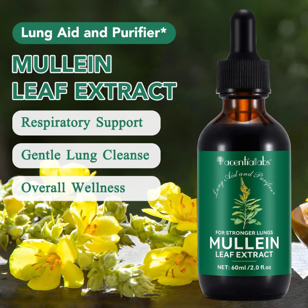 Acentialabs Mullein Leaf Extract Drops 60ml Mucus Relief EXP 07/2027 ...