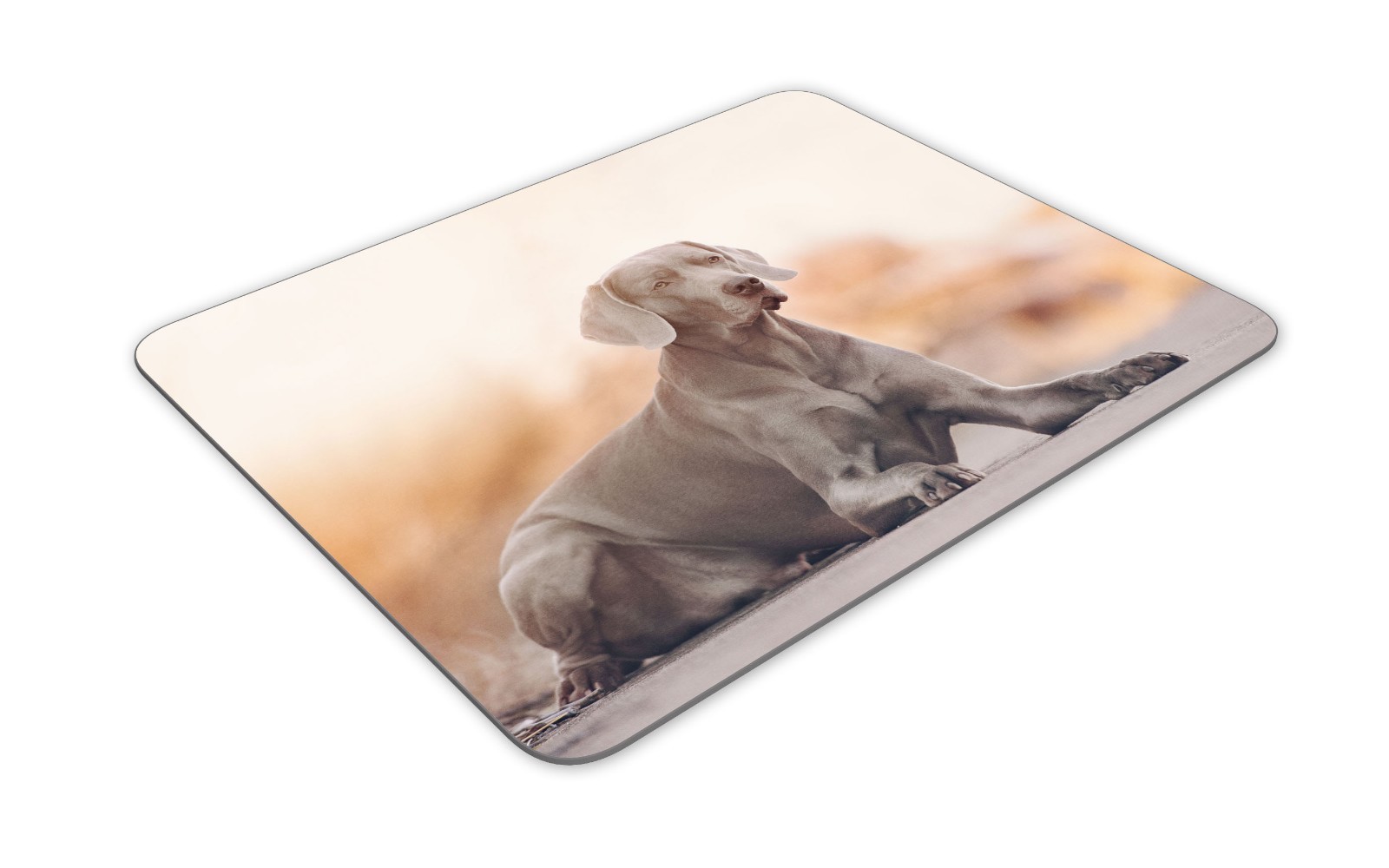 Magnificent Weimaraner Dog Mouse Mat Pad - Exotic Breed Computer Gift ...
