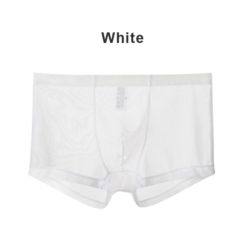 Sexy Men's See-through Boxer Briefs Sheer Mesh Pouch Underwear Panties ...