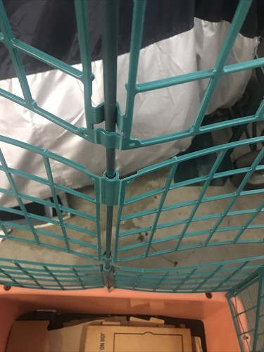 LCI V2G Mobile Vegetable Patch with Trellis Grow Herbs for sale online ...