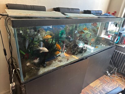 100 gallon fish tank With Stand And Filters - No Leaks! | eBay