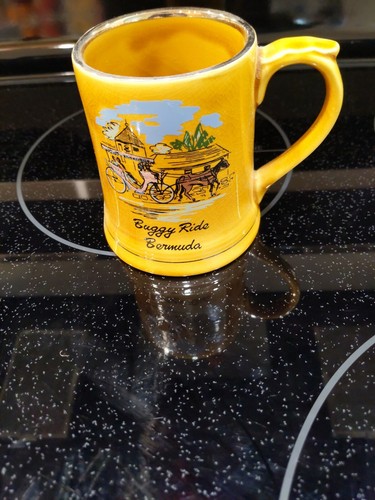 Bermuda Coffee Cup / Beer Mug Buggy Ride | eBay