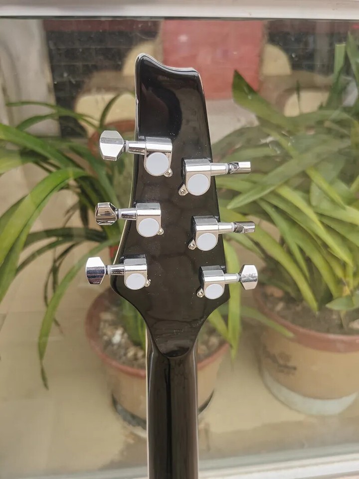 Domestic PAUL STANLEY Signature High Quality Electric Guitar, Mirror ...