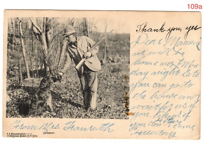 109:: ca.1901 RPPC Postcard: Quail Hunter Red Irish Setter Hunting Dog ...