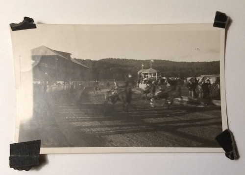 Vintage Harness Horse Racing Photo Unknown Raceway-Fair? Action B&W ...