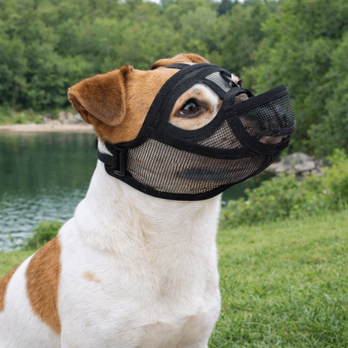 Anti-Eating Dog Anti-Biting Muzzle Mesh Dog Stop Barking Mask Outdoor ...
