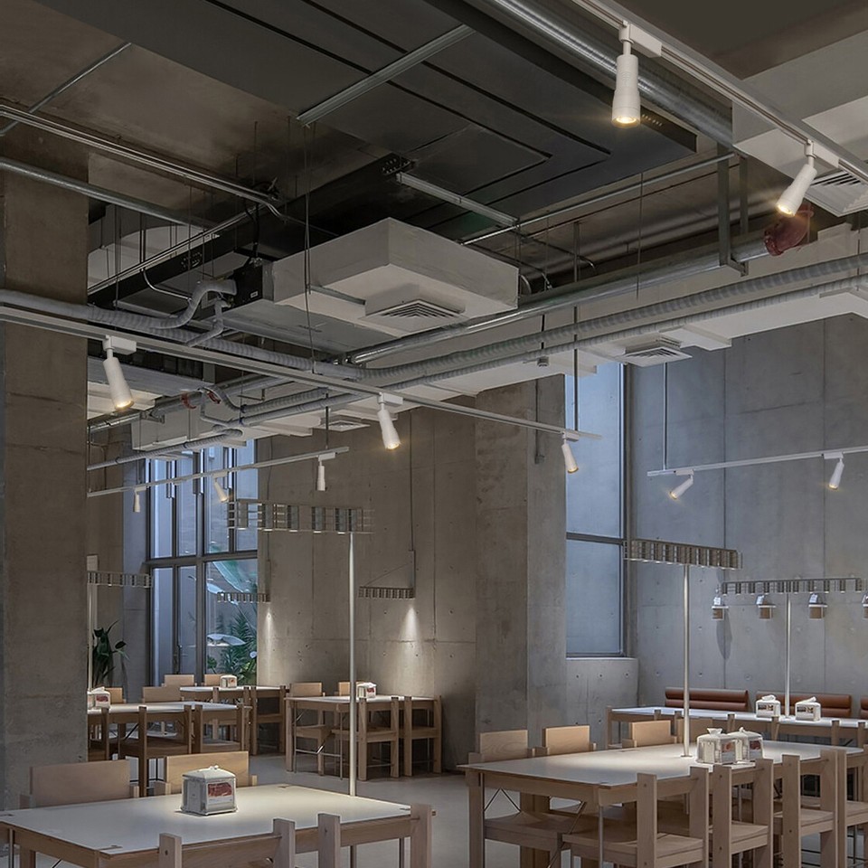 COB LED Ceiling Lamp Fixture 2-Line Track Light Beam Angle Zoom Show ...