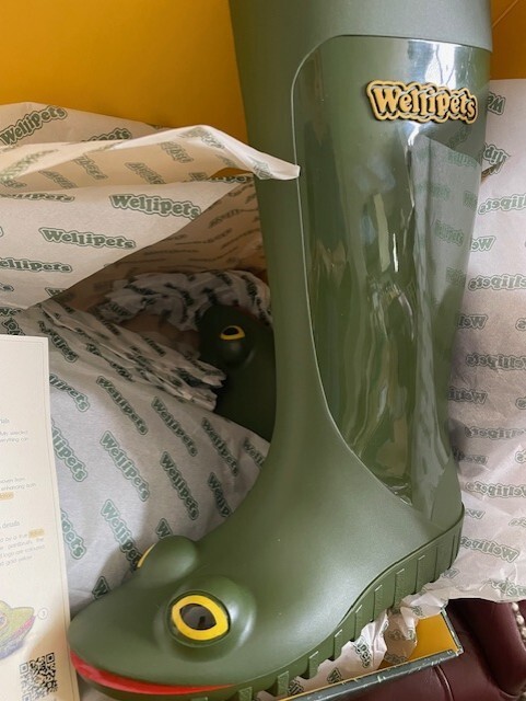 BNWT Rare Wellipets Adult Frog wellies wellington Boots Rare UK 7 ...