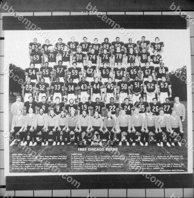 1983 Chicago Bears Team Medium Frame Negative - Jim Rowe Archive S3 | eBay