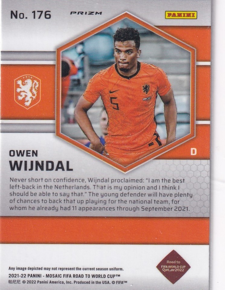 Panini Mosaic 2021-22 Road to Qatar No. 176 Owen Wijndal Rookie Mosaic ...