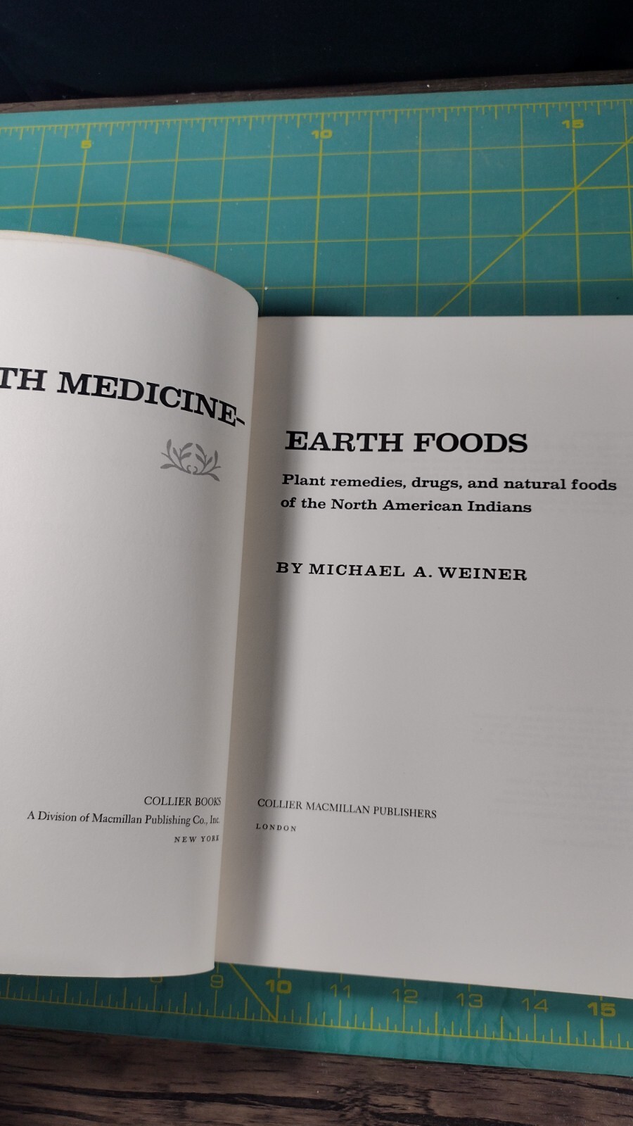 Earth Medicine-Earth Foods, Michael Weiner, Vintage Softcover, natural ...