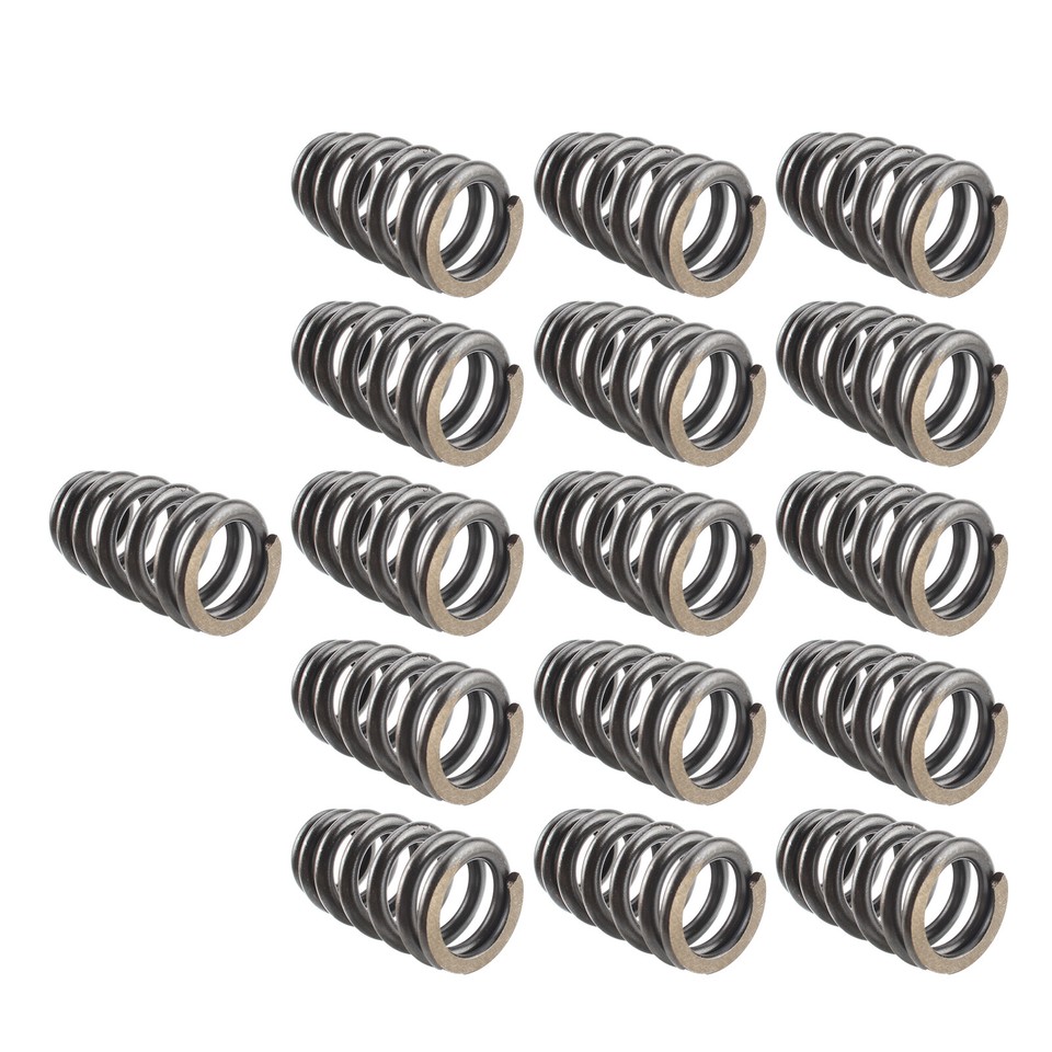 LS VALVE SPRINGS Fits GM LS1 LS2 LS3 LS6 4.8 5.3 6.0 6.2L - .600" LIFT ...