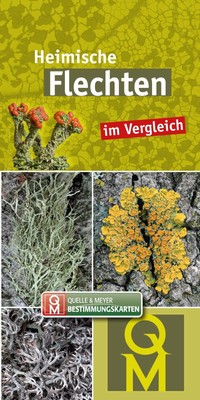 Quelle & Meyer Heimische Flechten: im Vergleich (Quell (Ungebunden) (UK ...