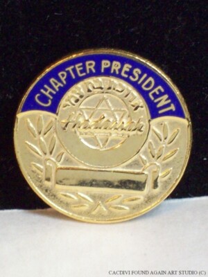 Hadassah Chapter President Pin Vintage Jewish Women's Organization ...
