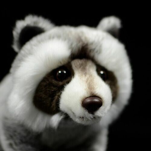 American Procyon Lotor Grey Lovely Raccoon Soft Kawaii Animal Stuffed ...