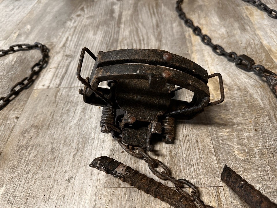 3 Number 3 Coil Spring Traps 4 Coiled With Drags Coyote Fox Trapping ...