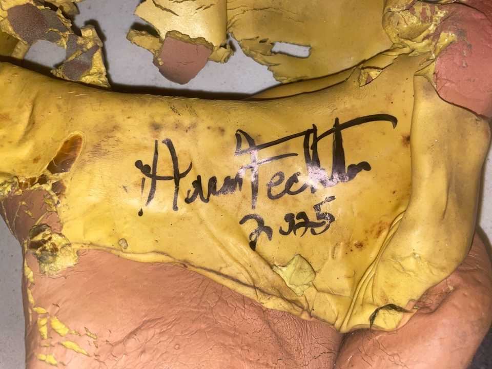 Flat Rolfe Mask From The Rock-afire Explosion * Autographed by Aaron ...