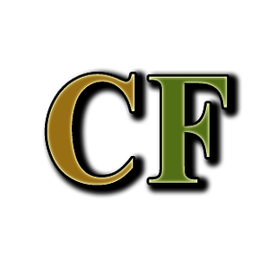 Cardboard Fiat | eBay Stores