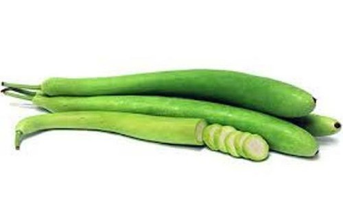 NEW GUINEA BEAN 6 seeds Doodhi Italian edible bottle gourd Lauki ...