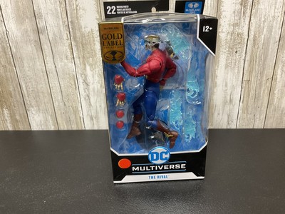 DC Multiverse Injustice Society Action Figure - The Rival-Lot 133 | eBay