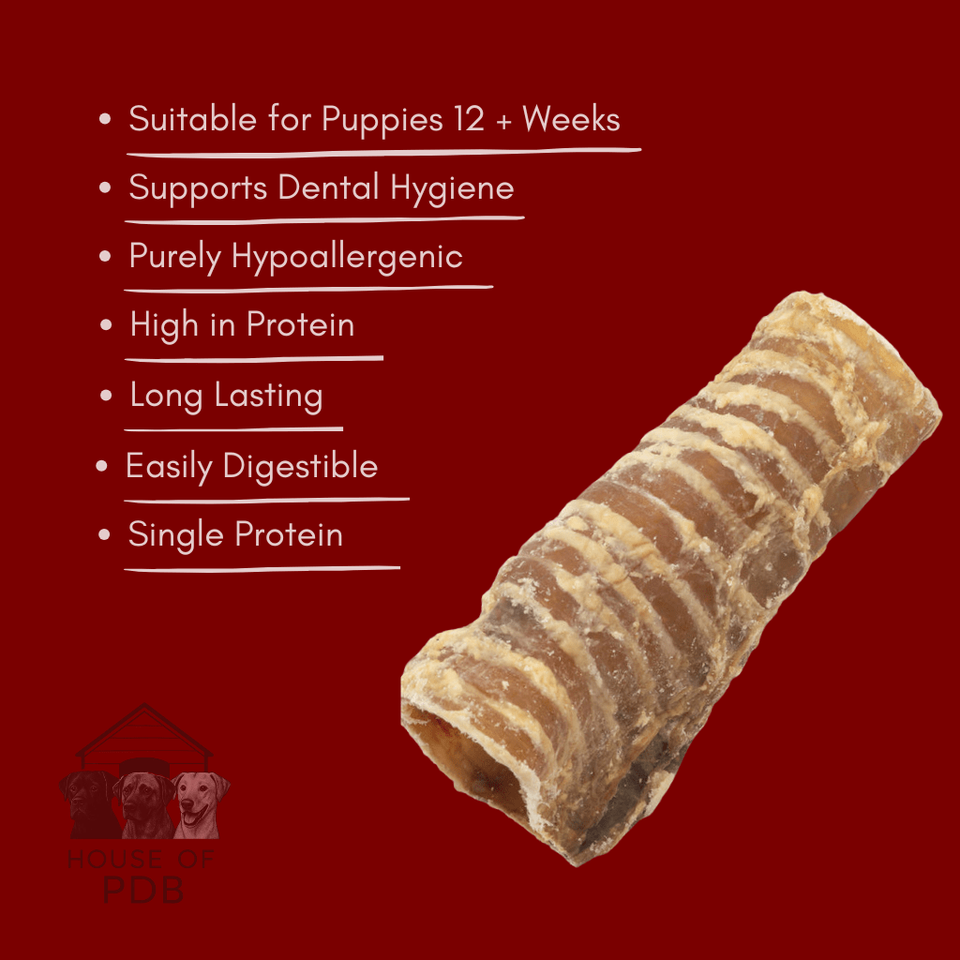 Beef Trachea (Mixed 15-40cm) | eBay UK