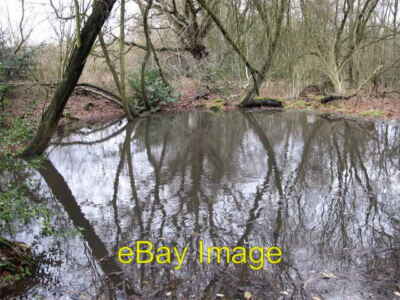 Photo 6x4 Pond at the southern end of Lake Wood (2) Keston See ...