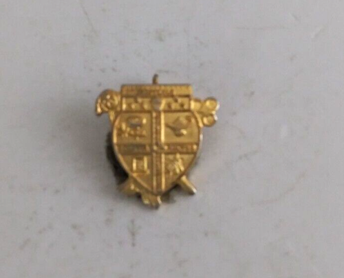 Vintage Shield Shaped Gold Tone Lapel Hat Pin | eBay