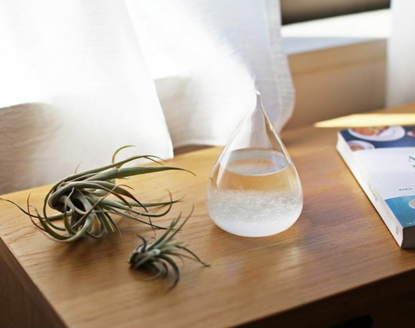 Storm Glass Barometer Crystal Drop Water Shape Weather Forecaster ...