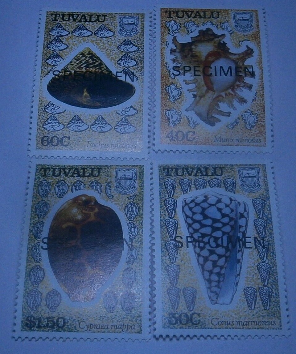 TUVALU SPECIMEN STAMP 1991 SHELLS BEACH PACIFIC - SET OF 4 MINT MUH ...