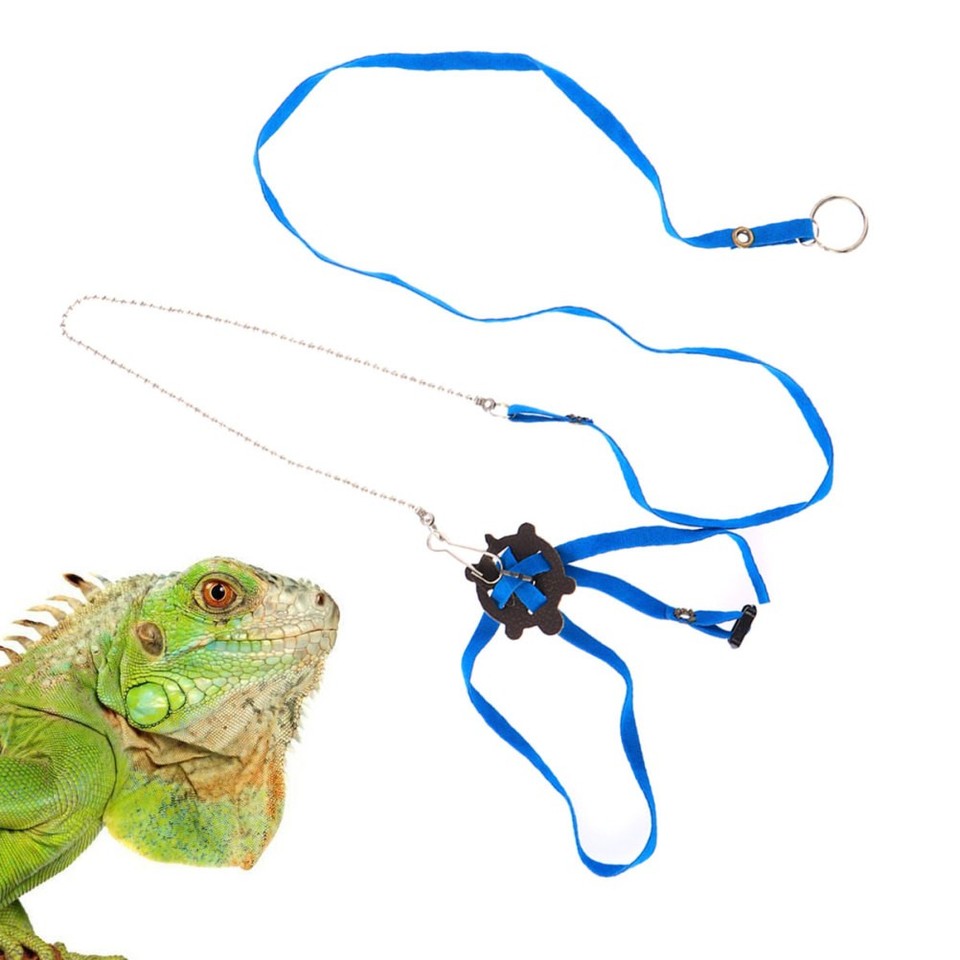 Pet Harness Reptile Leash Turtle Lizard Adjustable Outdoor Training ...