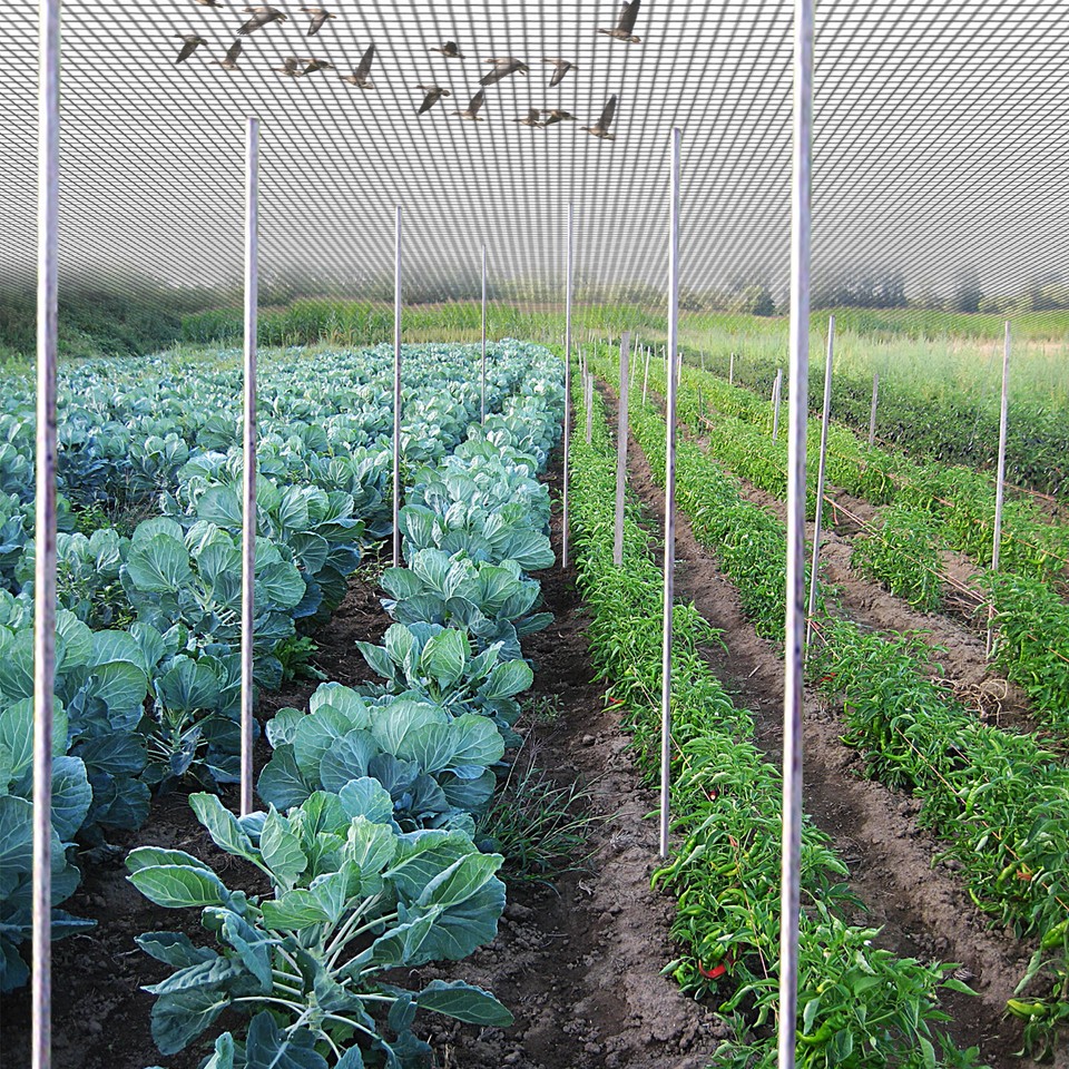 Multi-size Anti Bird Netting Bird Barrier Poultry Aviary Net Pens 2 ...