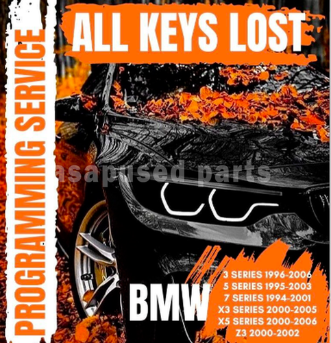 BMW 3 5 7 Series E39 E46 EWS 3 & 4 Programming Service All Keys Lost | OEM