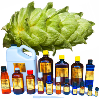 Hops Flower Essential Oil - 100% PURE NATURAL - Sizes 1 ml to 8 oz ...