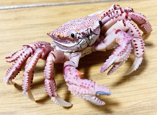 Nature Technicolor Gacha Kegani Women's Men's Sea Creature #83ffcc | eBay